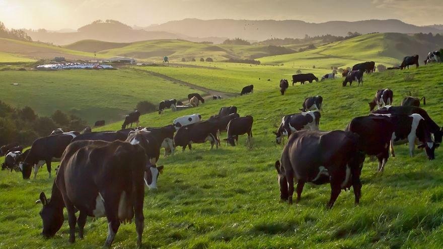 Origin Green Sustainability Programme Membership | Business Support ...