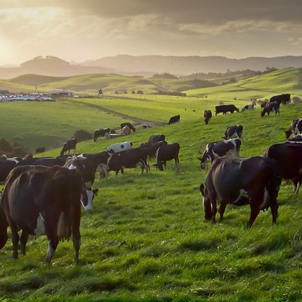 Origin Green Sustainability Programme Membership | Business Support ...
