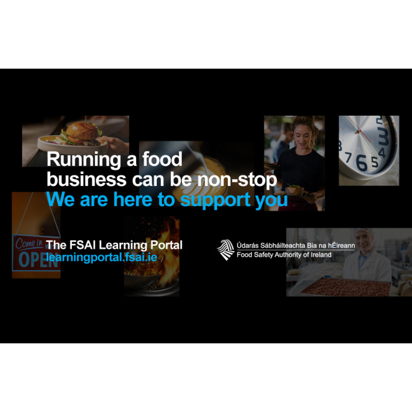 Discover the FSAI Learning Portal | National Enterprise Hub